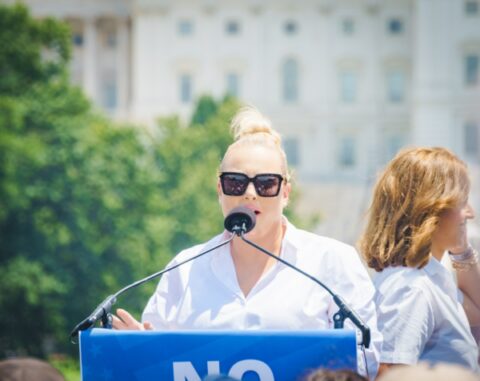 Meghan McCain, Former Obama Aide Clash Over California Election ...